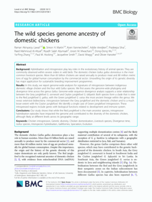The wild species genome ancestry of domestic chickens