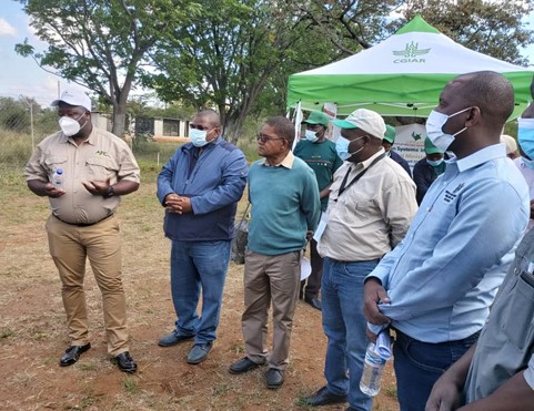 Zimbabwe livestock improvement project showcases ongoing work and ...