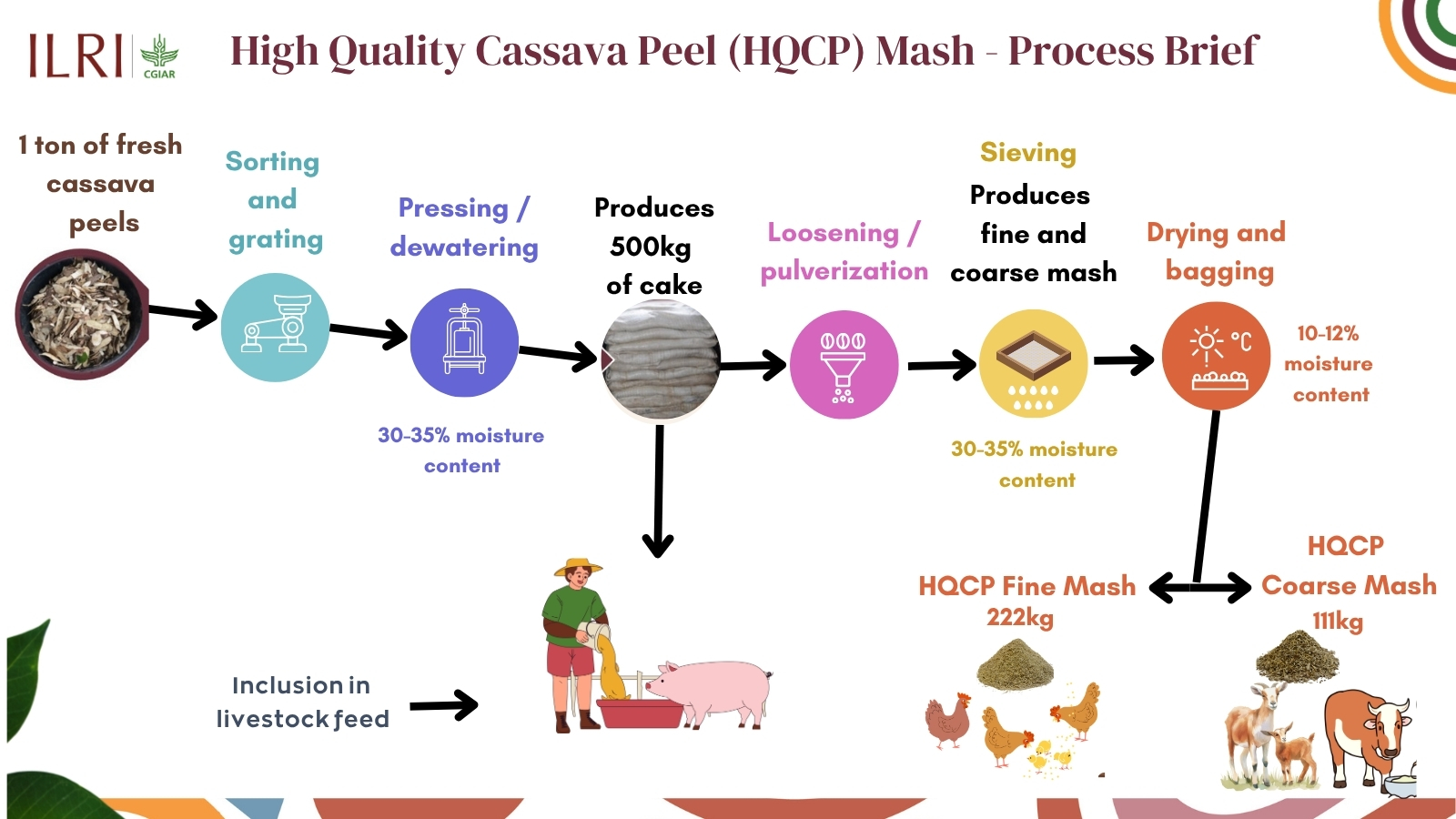 Turning cassava waste into opportunity: Scaling high quality cassava ...
