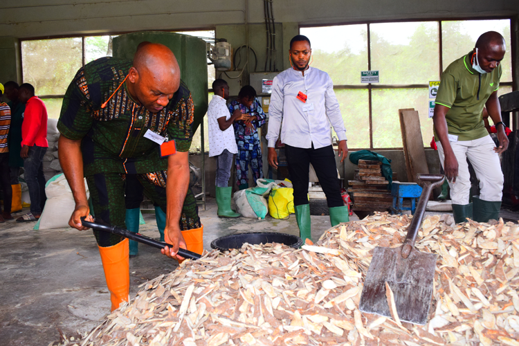 Turning cassava waste into opportunity: Scaling high quality cassava ...