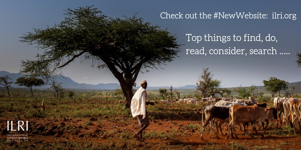 ILRI has a new website! | International Livestock Research Institute