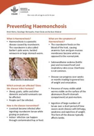 Preventing Haemonchosis