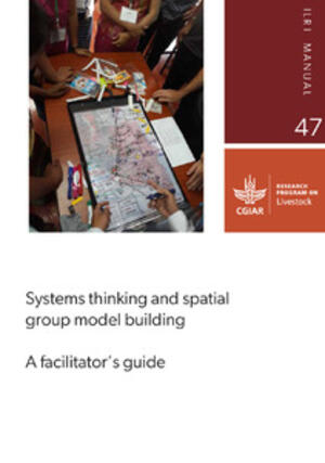 Systems thinking and spatial group model building: A facilitator’s guide