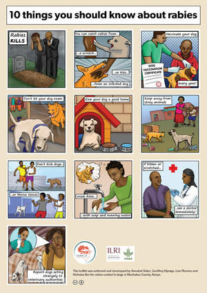 Ten things you should know about rabies