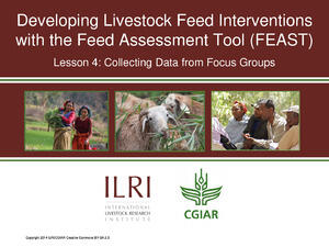 Developing livestock feed interventions with the feed assessment tool ...
