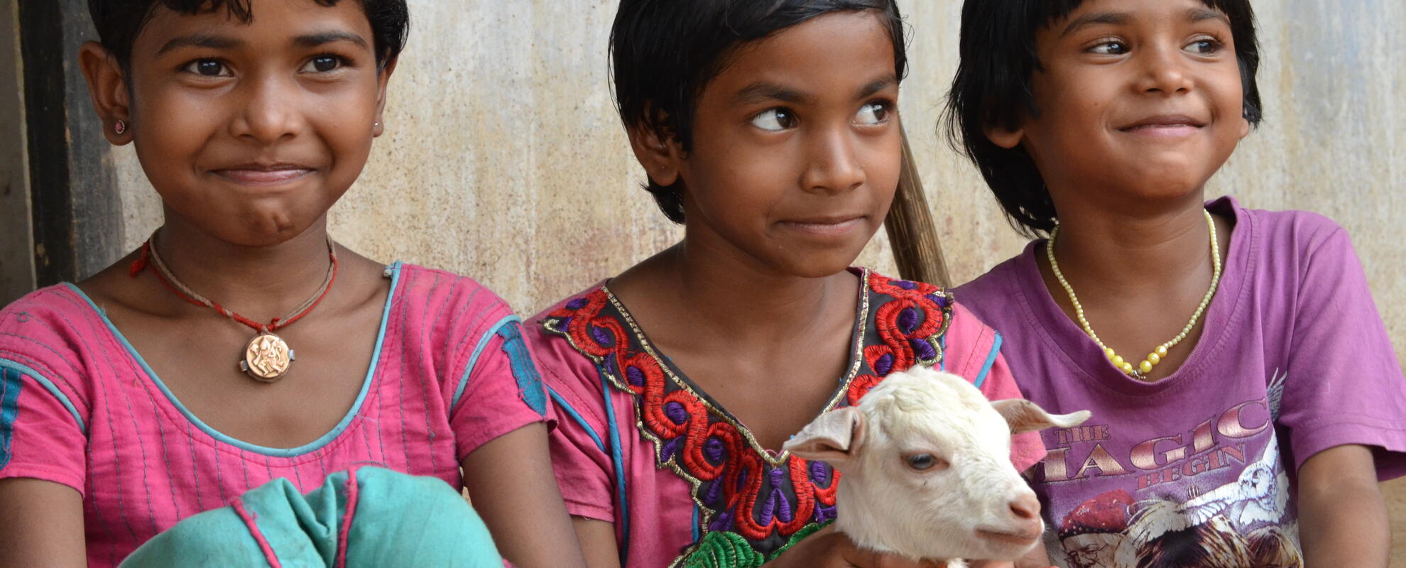 India’s Odisha State launches master plan to spur livestock sector ...