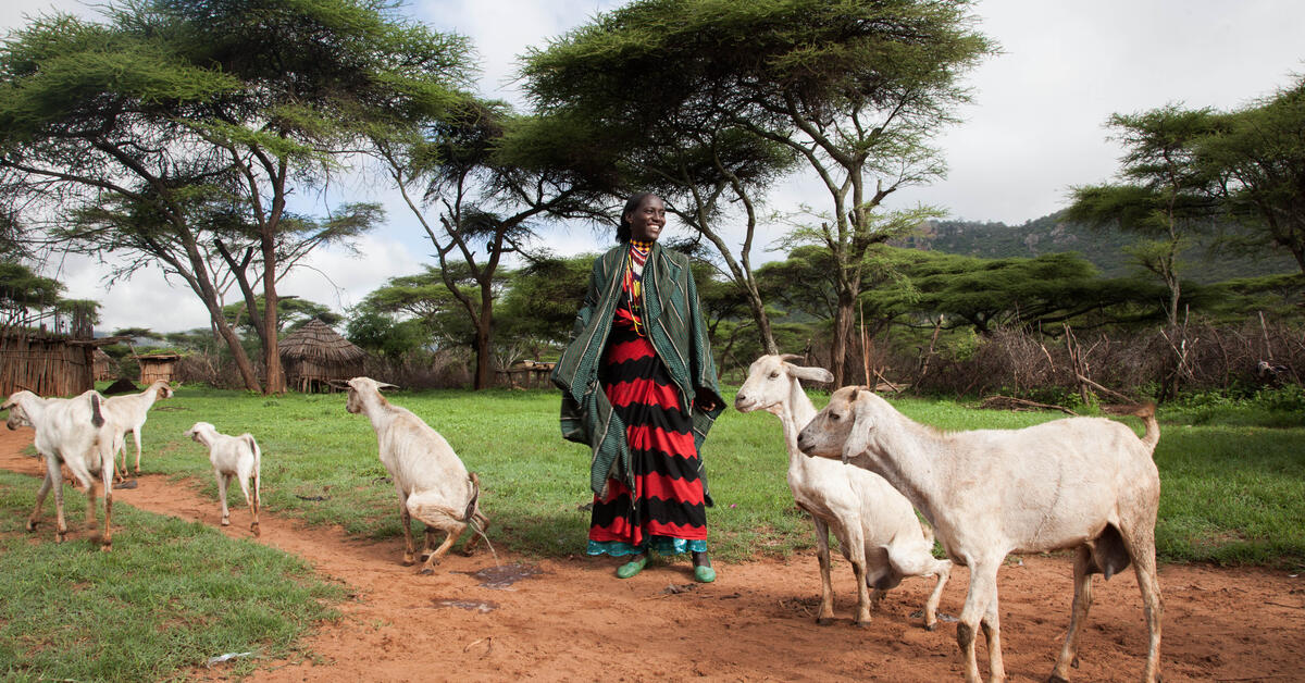 One Health for Humans, Environment, Animals and Livelihoods (HEAL)