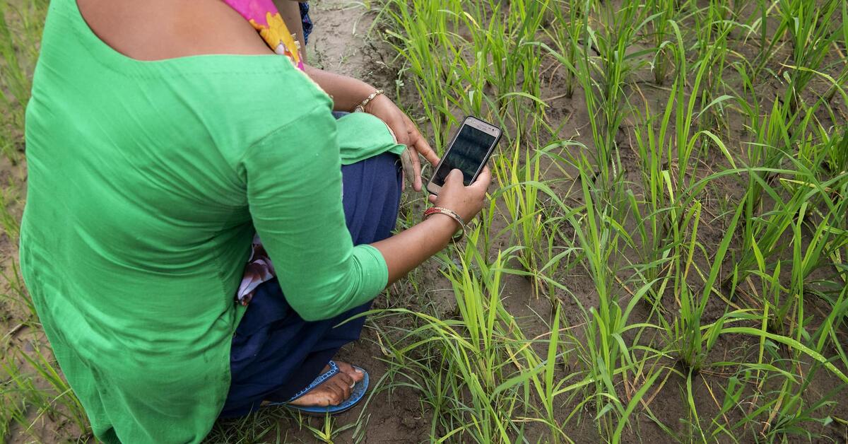 Excellence in Agronomy for Sustainable Intensification and Climate ...