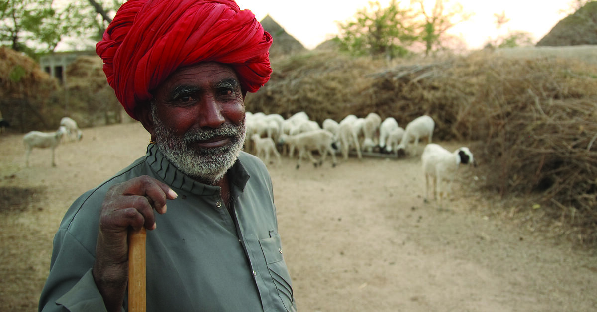 Available now: Issue 11 of ILRI South Asia Newsletter