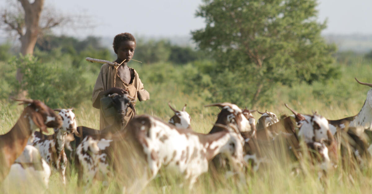 ILRI’s contributions to wildlife research spotlighted at the WRTI’s ...