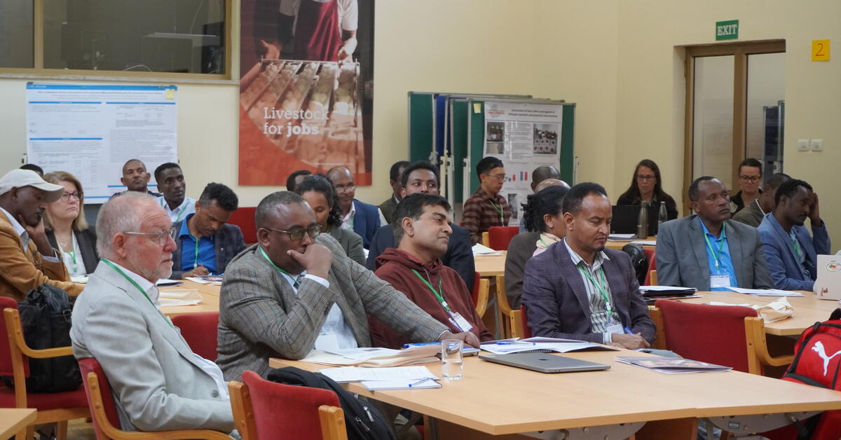 Research programs point the way forward for food safety in Ethiopia