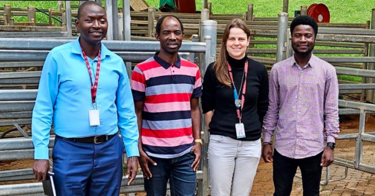 Tackling livestock emissions in Africa: building essential research ...