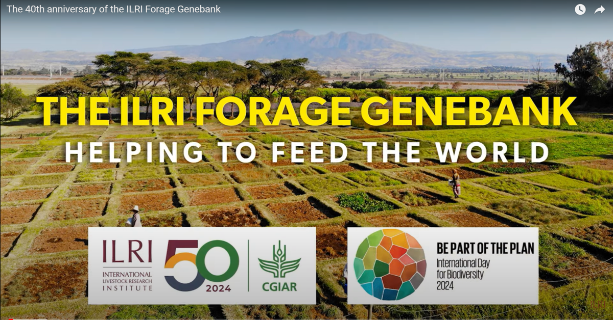 The ILRI Forage Genebank celebrates 40th anniversary and the launch of ...