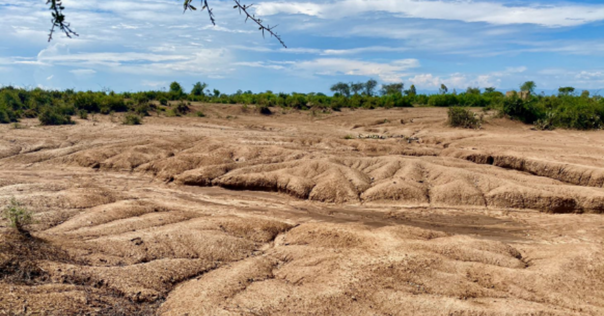 Research activities under COVID-19: a case of the ReDEAL project