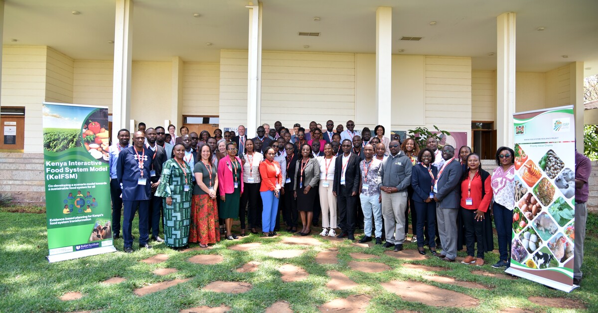 Kenyan experts begin to co-develop an interactive food system model
