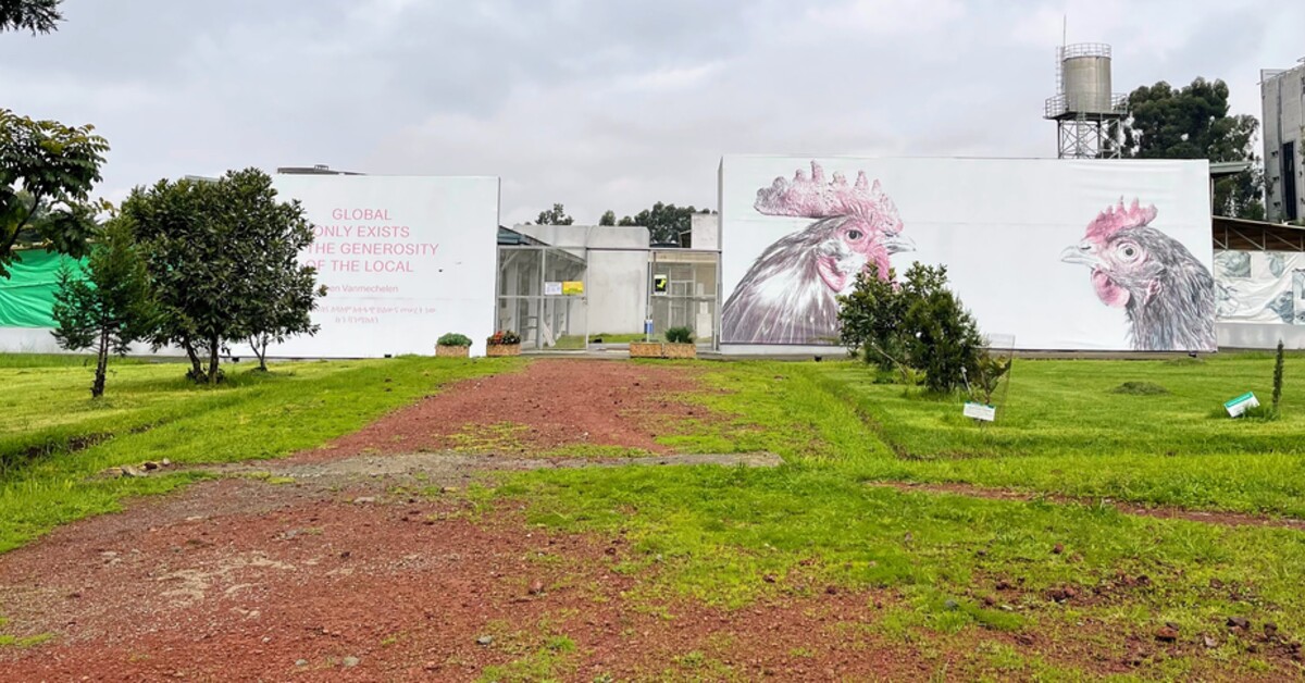 ILRI-CGIAR poultry research facility: A research and development hub ...