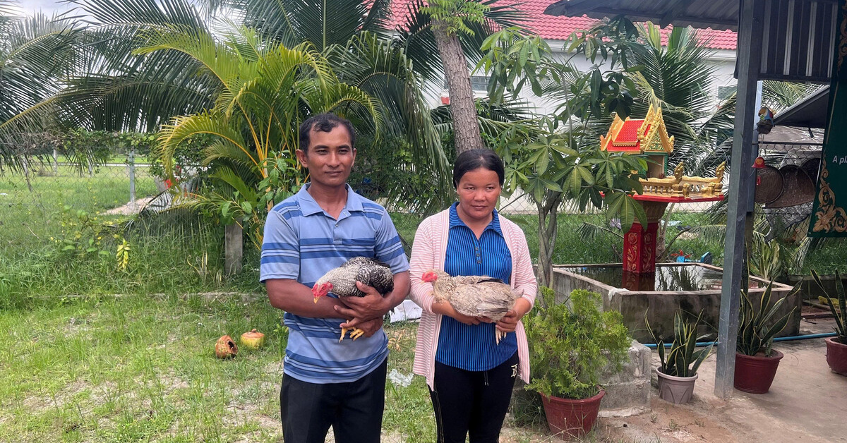 AsCGG enters Phase II to scale poultry genetics gains in Southeast Asia