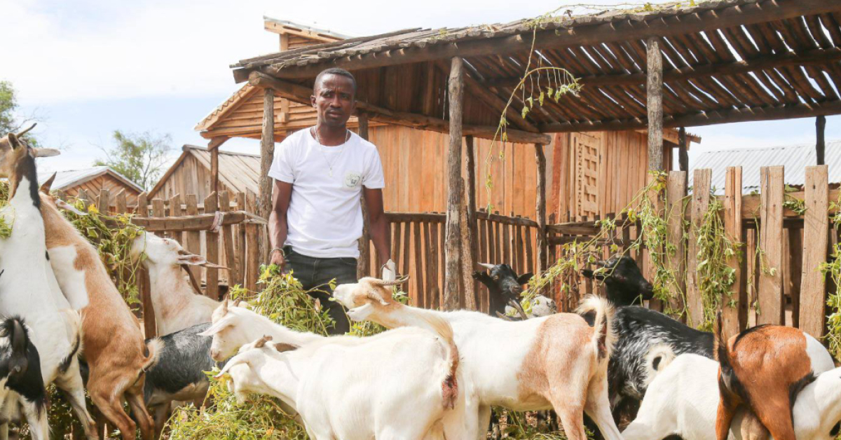 From analysis to action: livestock research helps Madagascar transform ...