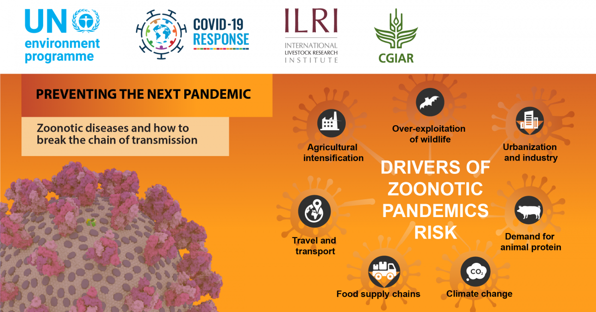 The seven deadly drivers of zoonotic disease pandemics