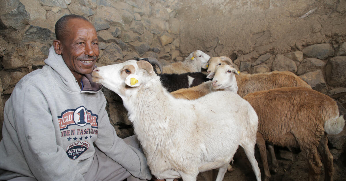 Webinar recording: Livestock and Livelihoods: The Critical Crossroads ...