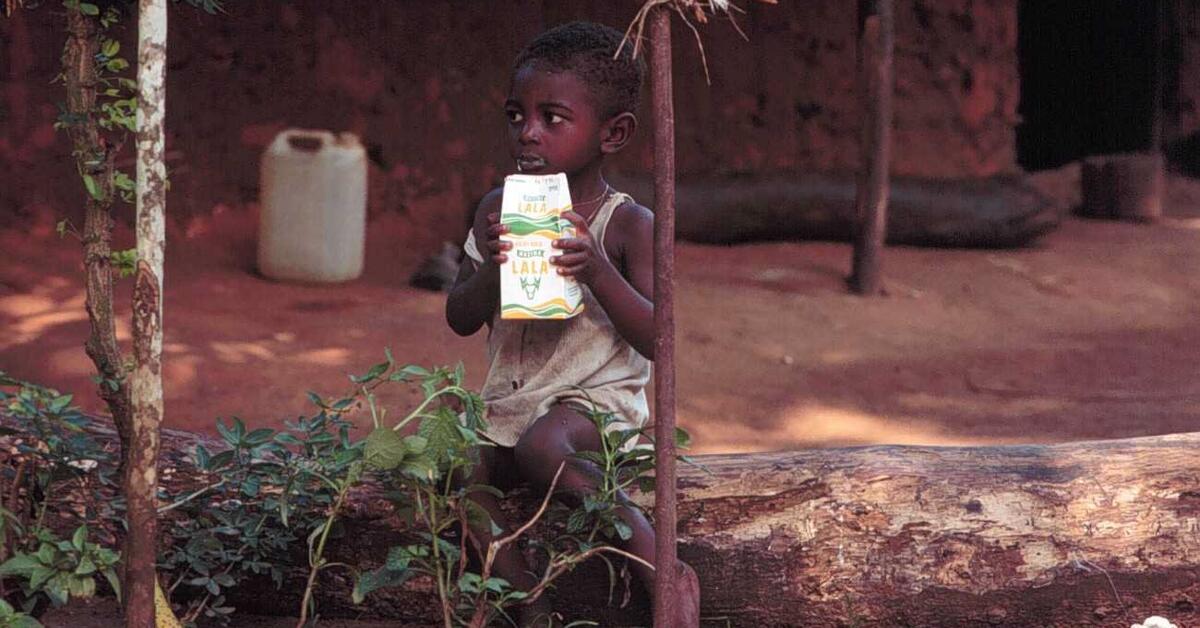 FAO conference on global hunger to launch