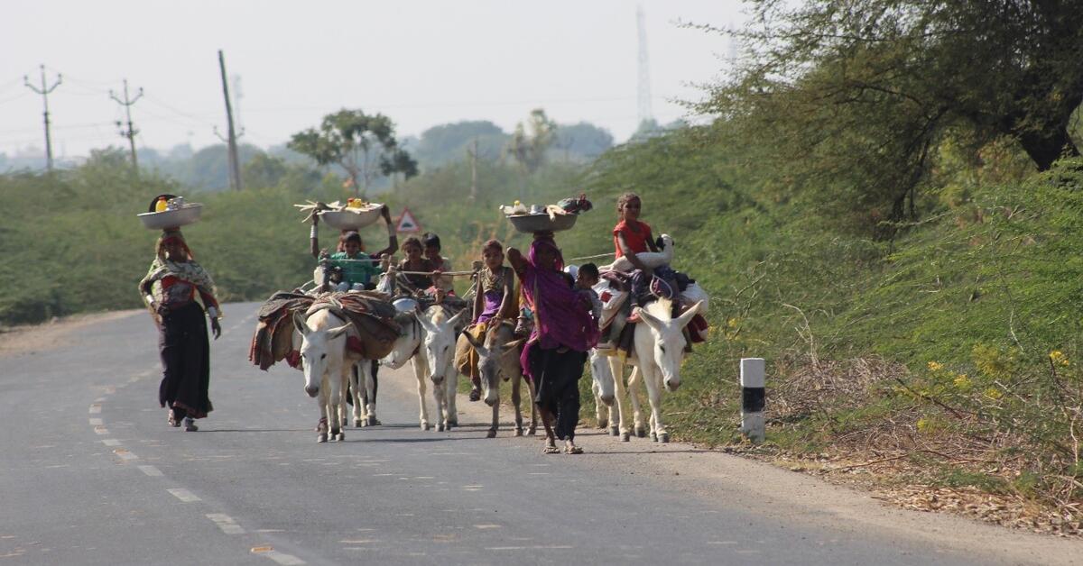 Loss of communal grazing lands in India threatens the status of ...
