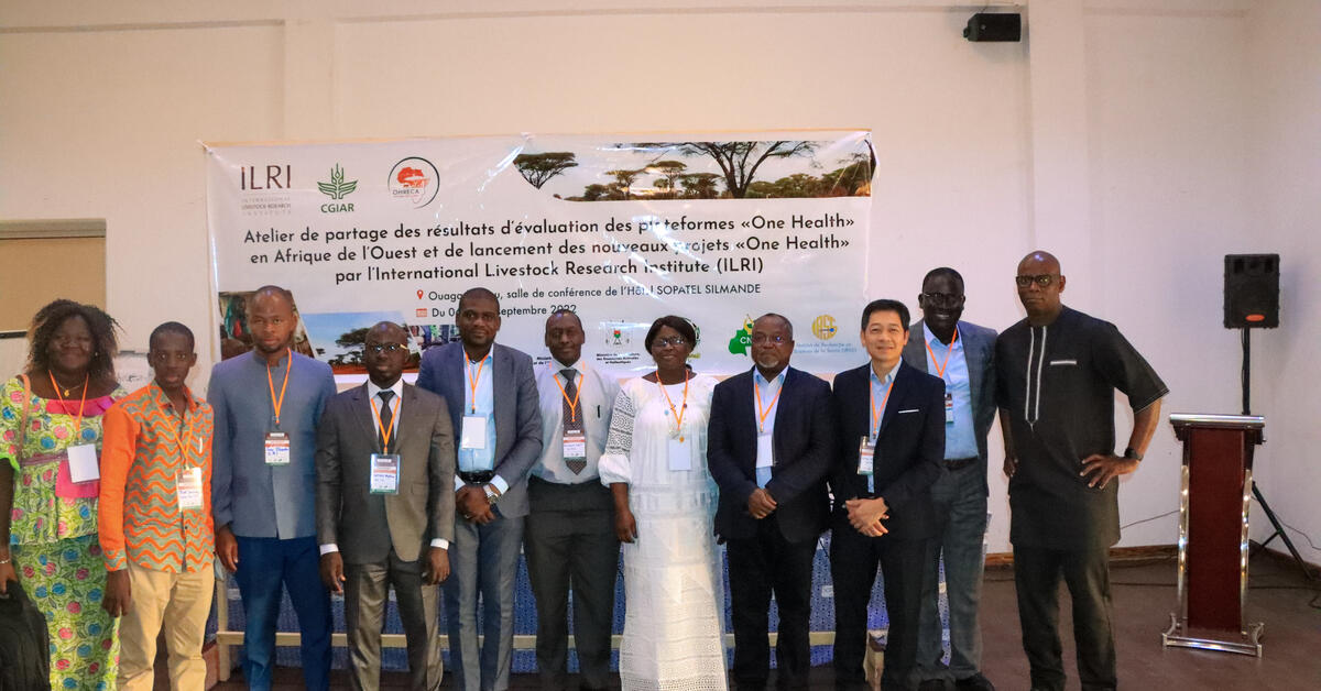 ILRI workshop brings together One Health experts in west Africa to ...