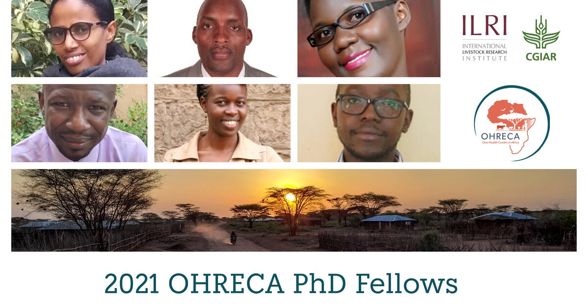 First cohort of ILRI-based One Health PhD fellowships for African ...