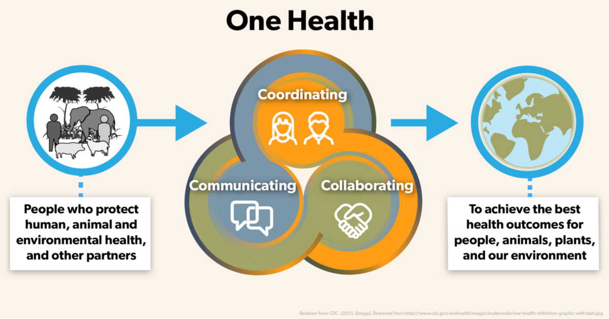 Norwegian Veterinary Institute and the International Livestock Research ...