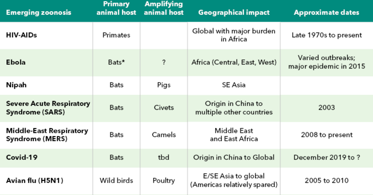 Africa’s growing risk of diseases that spread from animals to people