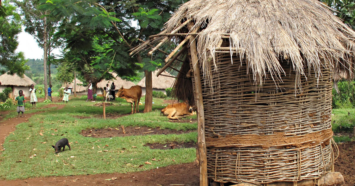 Poor communities: Ground zero for emerging animal-to-human diseases—and ...