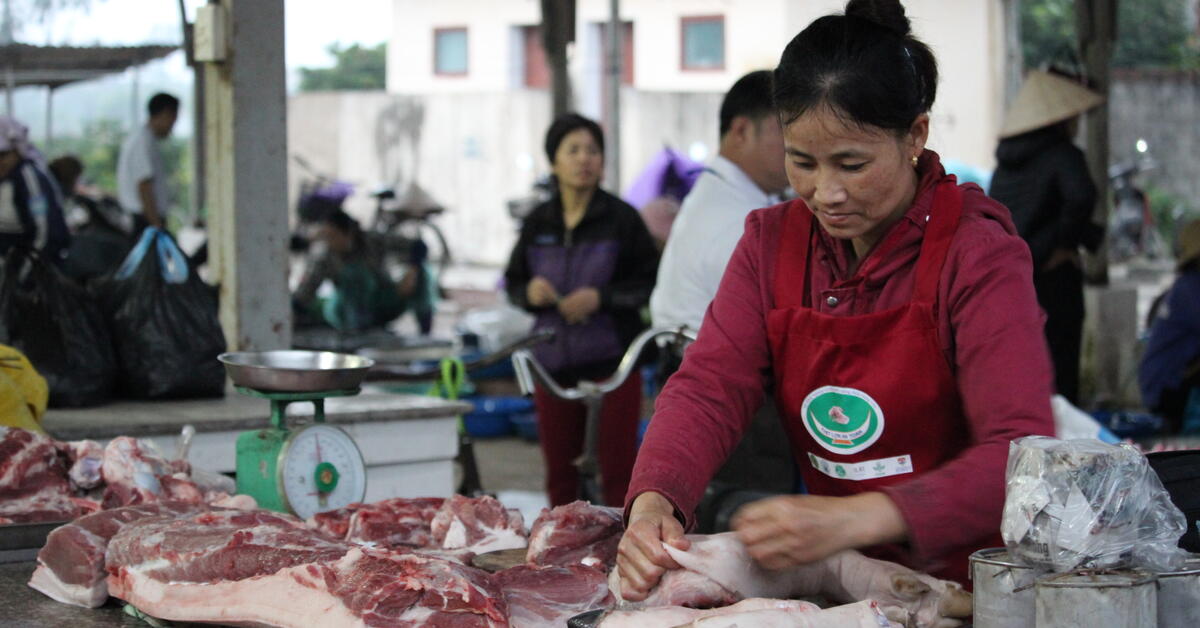 Australia-funded safe pork project in Vietnam reviews 2020 achievements ...