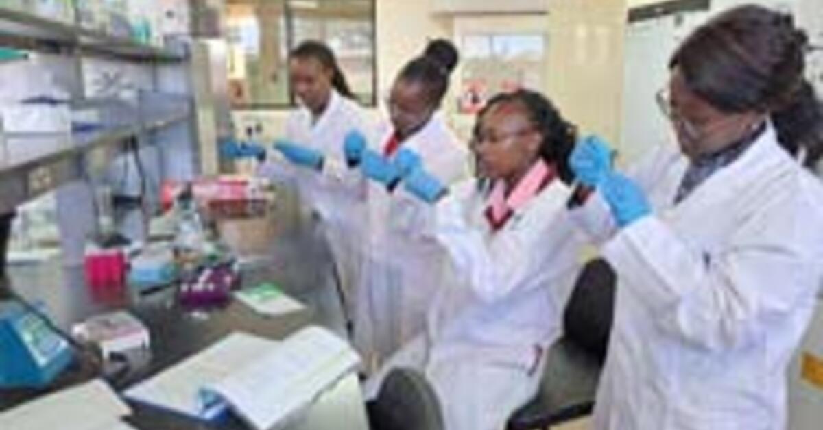 Institutional and Professional Development