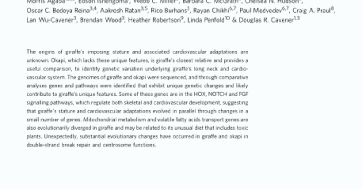 Giraffe genome sequence reveals clues to its unique morphology and ...