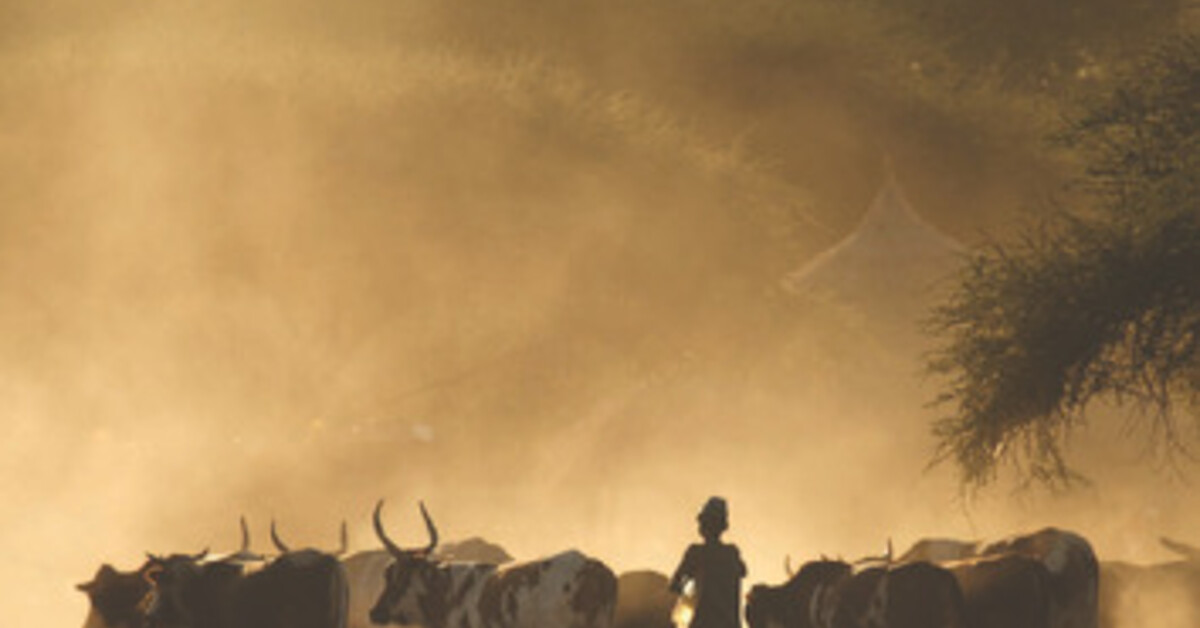 Ilri 2024 Financial Statements