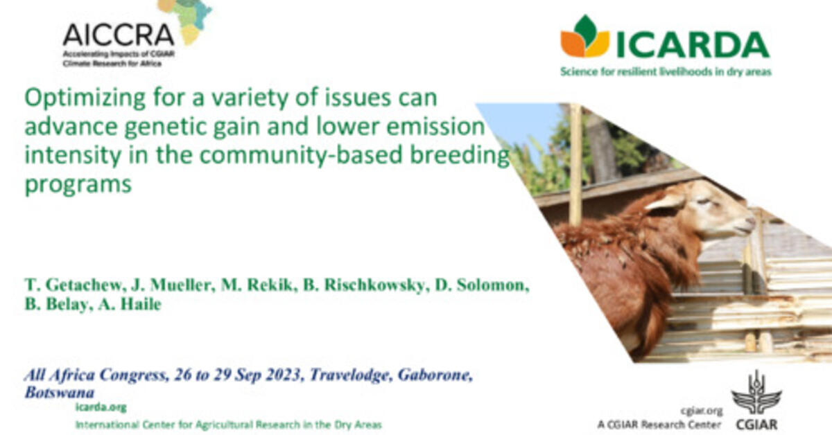 Optimizing for a variety of issues can advance genetic gain and lower emission intensity in the ...