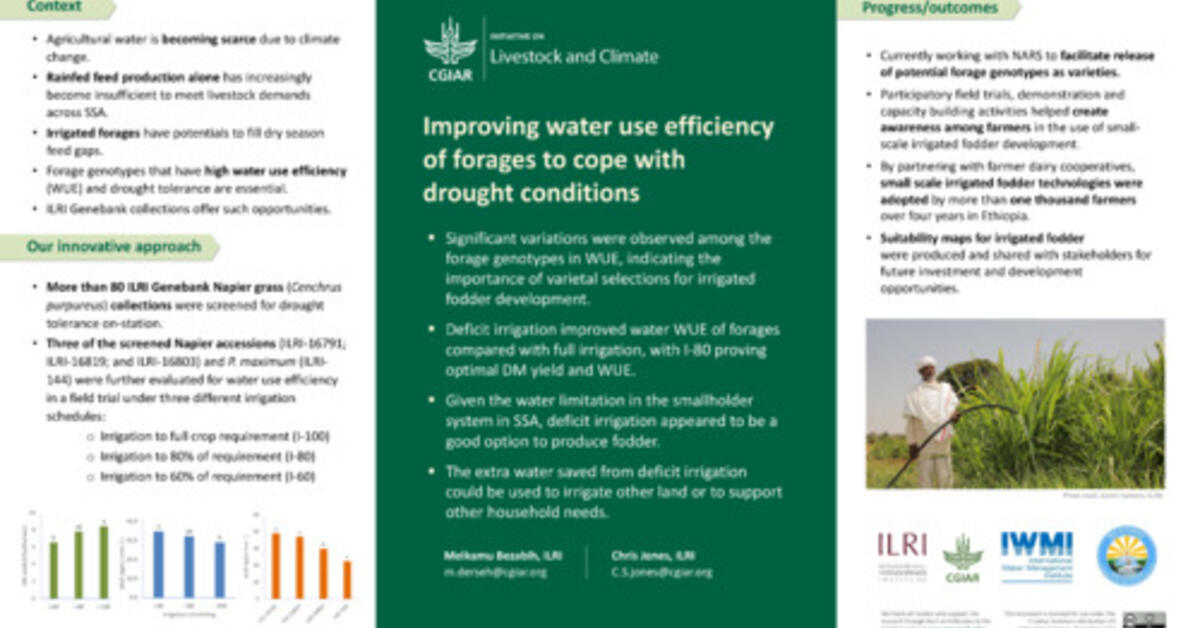 Improving water use efficiency of forages to cope with drought conditions
