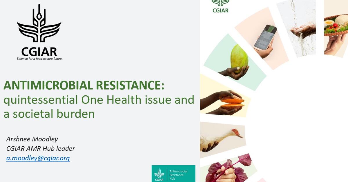 Antimicrobial resistance: Quintessential One Health issue and a ...