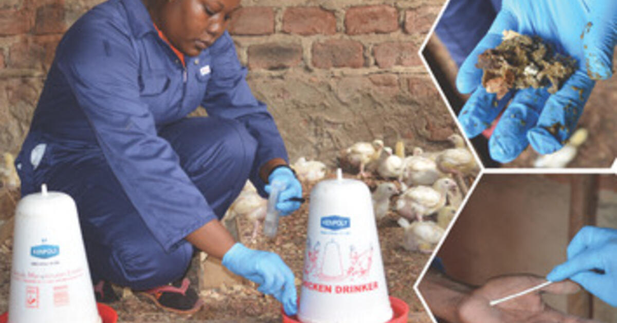 Training manual for frontline animal extension service providers on ...