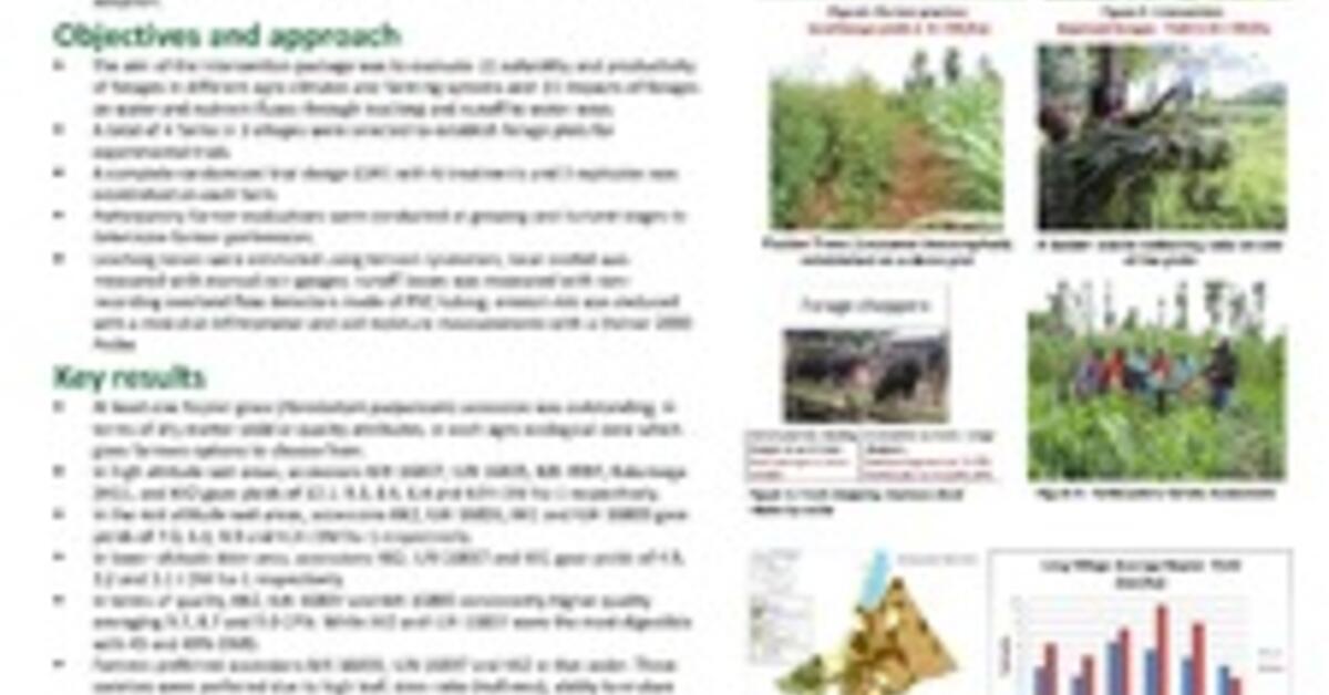 Livestock: High yielding improved forages