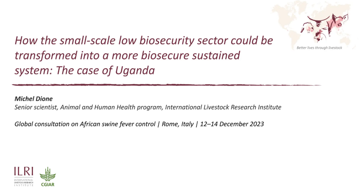 How the small-scale low biosecurity sector could be transformed into a ...