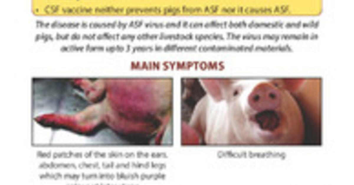 African swine fever: A newly emerged fatal disease of pigs in Assam