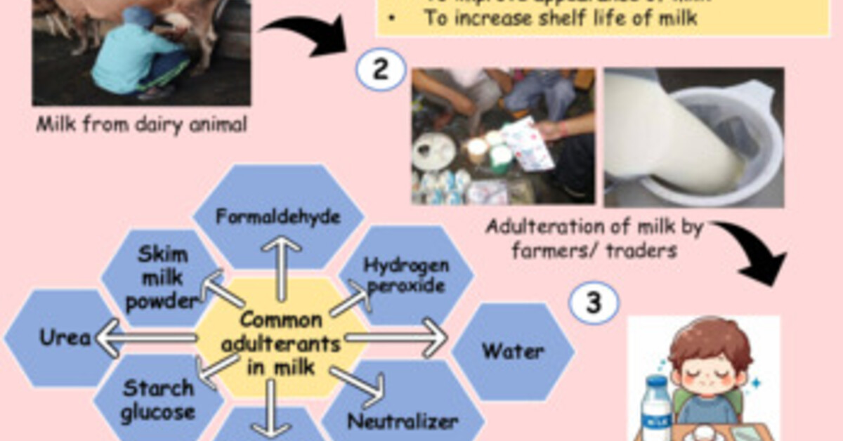 Human health risk from adulterated milk and milk products