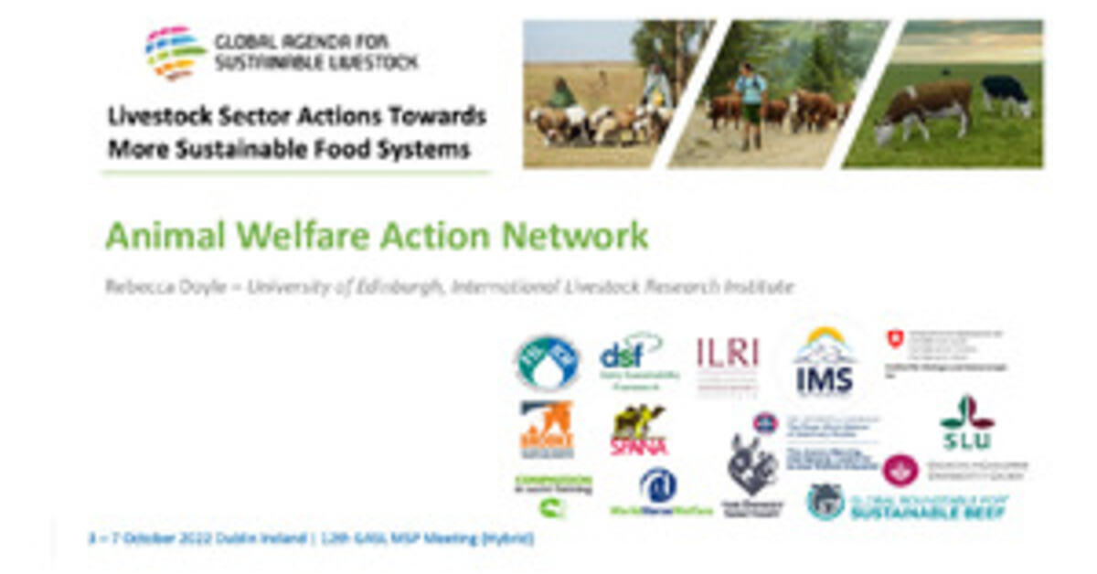 Animal welfare action network