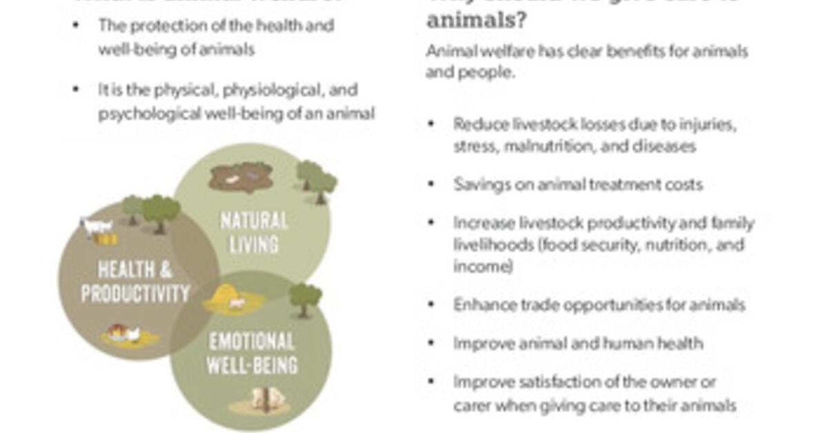 Animal welfare management