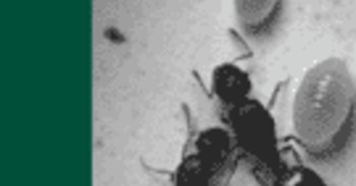 High frequency of polyandry in a lek mating system