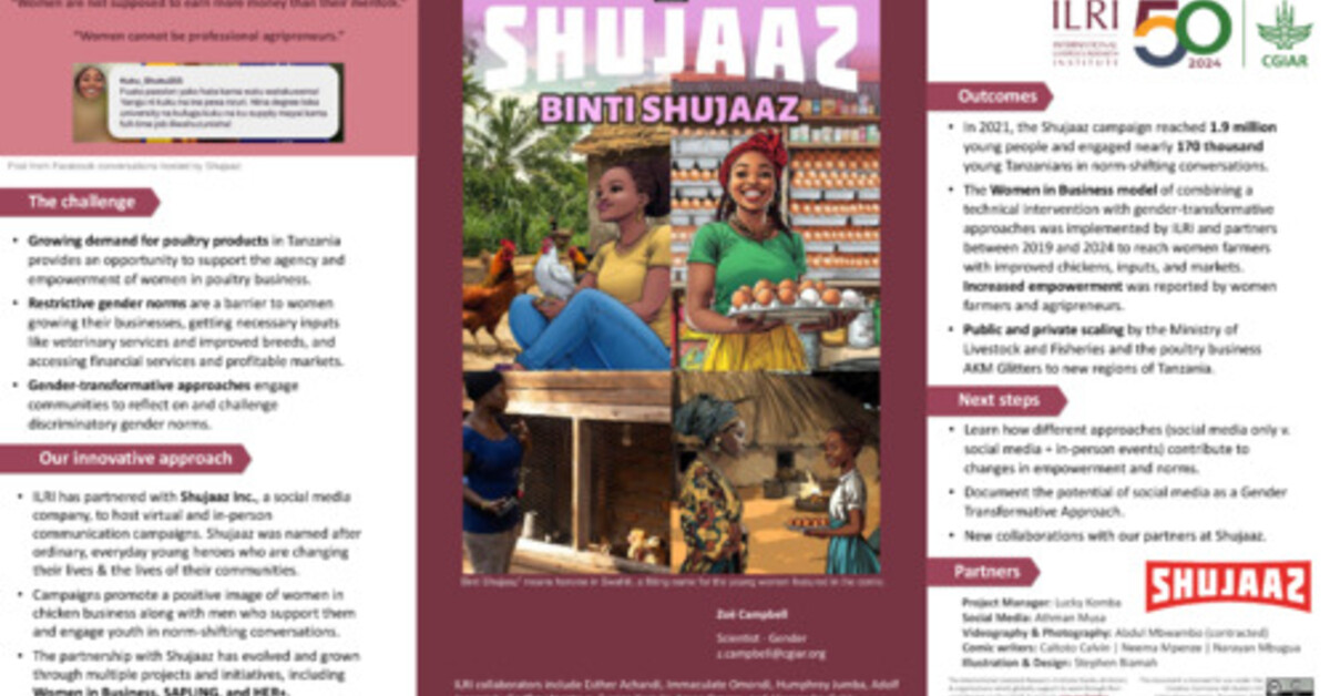 Binti Shujaaz: Young Women in Business in Tanzania