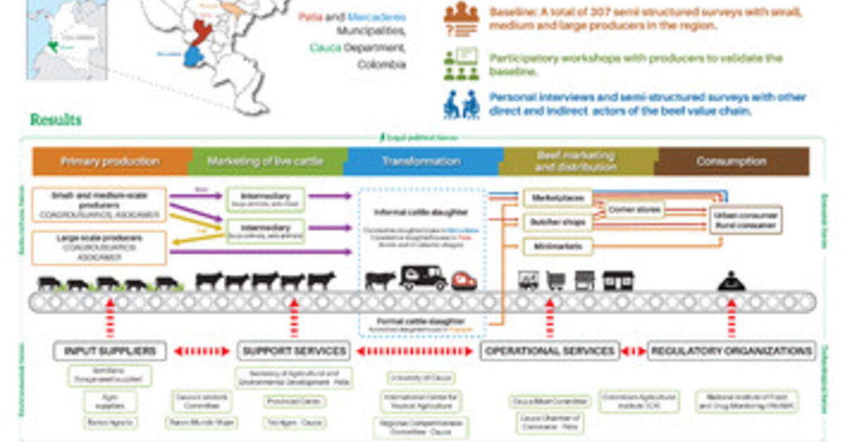 Bottlenecks for the Sustainable Development of the Beef Value Chain in ...