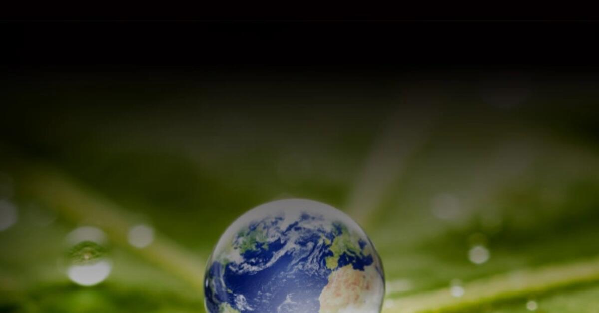 Building the future One Health workforce in Eastern and Southern Africa ...