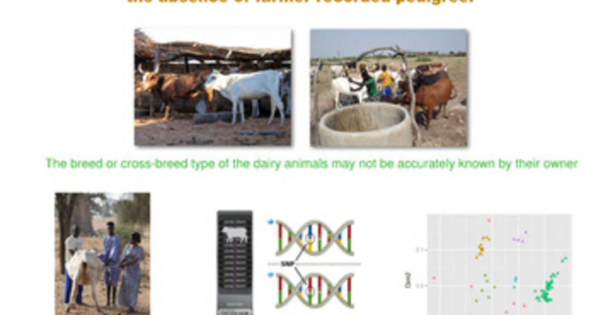 Using advanced DNA approaches to determine breed composition—Senegal ...